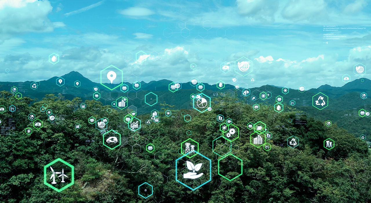 Smart Forest: Πώς μπορούμε να προστατεύσουμε το δάσος με το ΙοΤ